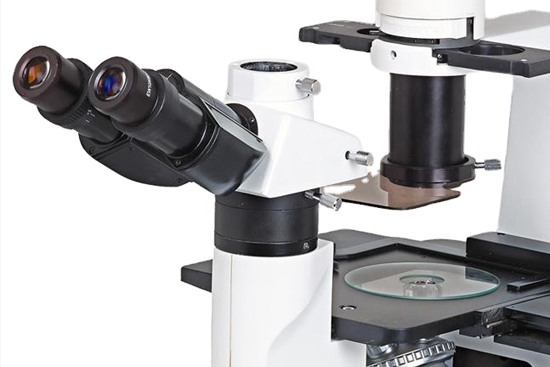 กล้องจุลทรรศน์แบบหัวกลับ Inverted Microscope